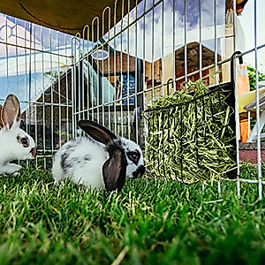 2 Pcs Pet Hay Feeder Guinea Pig Metal Hookable Manger Rabbit Feeder Hay Holder for Rabbits Hanging Hay Rack Timothy Hay for Guinea Pig Bunny Chinchilla Small Animal Cage, 7.3 x 6.7 x 4.3 Inch