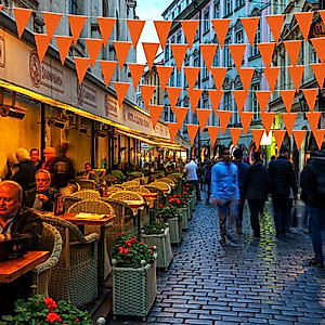 Panelee 300 Feet Blank Pennant Banners Flags String Hanging DIY 180 Pcs Triangle Bunting Pennant Garland for Fall Opening Graduation Birthday Party Decoration Festival Celebration Outdoor (Orange)