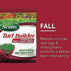 Scotts Lawn Care Plan for Small Yards (Northern)