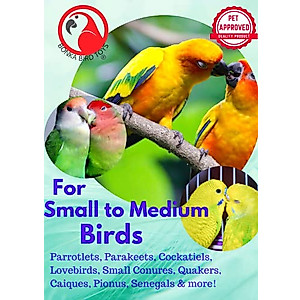 Bonka Bird Toys 800127 Parrot Stainless Steel Water 12oz Cup Cage Seed Feed Bowl