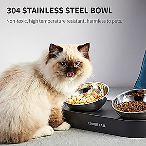 PETKIT Raised Dog Cat Food Bowl 304 Stainless Steel, Elevated Cat Dog Food and Water Bowl Dishes, Nicely Made, Sturdy Cat Feeder Bowl 2