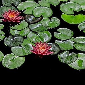 Ogrmar 10 x 13ft LDPE Pond Liner,20 Mil Pond Skins for Fish Ponds,Water Features,Fountains,Waterfall and Water Gardens,Black(10 x 13ft)