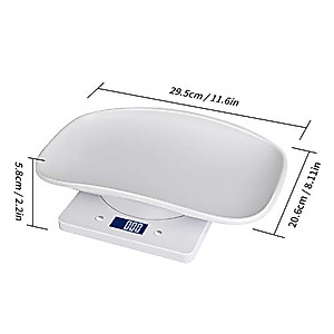 WIOR Food Scale Grams and Ounces, 22lb/10kg Digital Scale, Kitchen Scale with 1g/0.1oZ Precise Graduation, LCD Display Digital Food Scale for Kitchen, Baking, Cooking, Ingredients, Jewellery, Pet