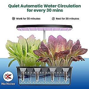 Hydroponic Growing System, Indoor Herb Garden, Smart Garden with LED Grow Light, 6L Water Tank Germination Kit, 18.5'' Height Adjustable, Black