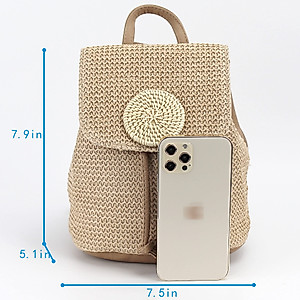 Felice Ann Women Small Straw Woven Backpack Daypack Cross-body Shoulder Bag