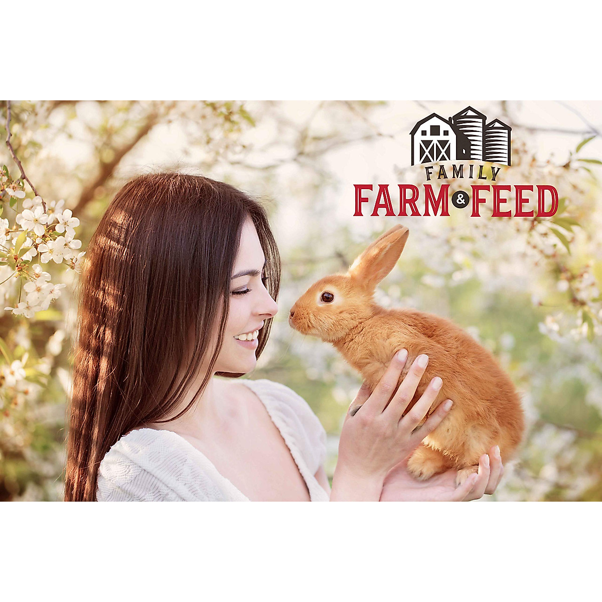FAMILY FARM AND FEED | Alfalfa Hay Food | Small Pet | Young and Adult | Pellets | 5 Pounds