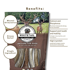 WhiteTail Naturals - Premium Split Elk Antlers for Dogs - (1 Pound Pack) - Organic Dog Chews - Naturally Shed Antler Dog Bones - Long Lasting, Crafted in USA