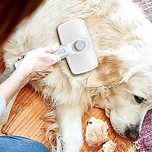 Crala Self-Cleaning Slicker Brush for Dogs & Cats, Grooming Combs for Short & Long-Haired Dogs, Cats, Rabbits & More - Gently Removes Loose Undercoat, Mats and Tangled Hair