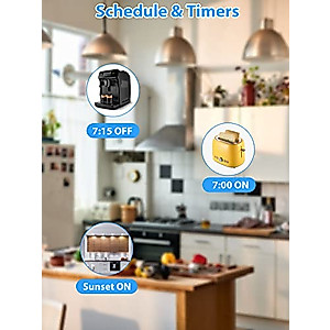 Smart Plug EIGHTREE, Alexa Smart Plugs That Work with Alexa and Google Home, Compatible with SmartThings, Smart Outlet with WiFi Remote Control and Timer Function, 2.4GHz Wi-Fi Only, 4Packs