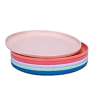 Durable and Reusable 9.75-inch Colored Plastic Dinner Plates set for Parties, Set of 6, Dishwasher Safe, BPA Free