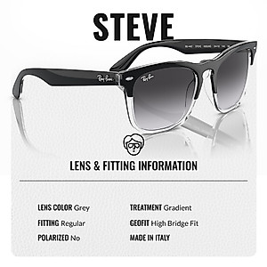 Ray-Ban RB4487 STEVE Square Shape Sunglasses With Eyewear Kit Bundle - High Bridge Fit - Casual Wear Square Sunglasses