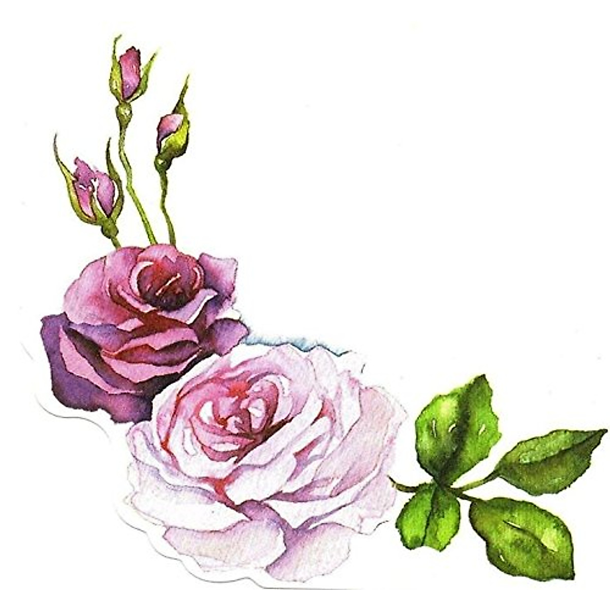 Floral Portfolio with Large Cards