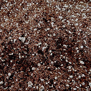 Roots Organics ROGF Green Fields Hydroponic Nutrient-Based Gardening Potting Soil for Plants, Flowers, and Outdoor Gardens, 1.5 Cu Ft (2 Pack)