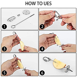 2X Parrot Skewer Bird Food Holder Stainless Steel 304 Parrot Fruit HolderToy Foraging Hanging Food Feed Tool Bird Cage Accessories