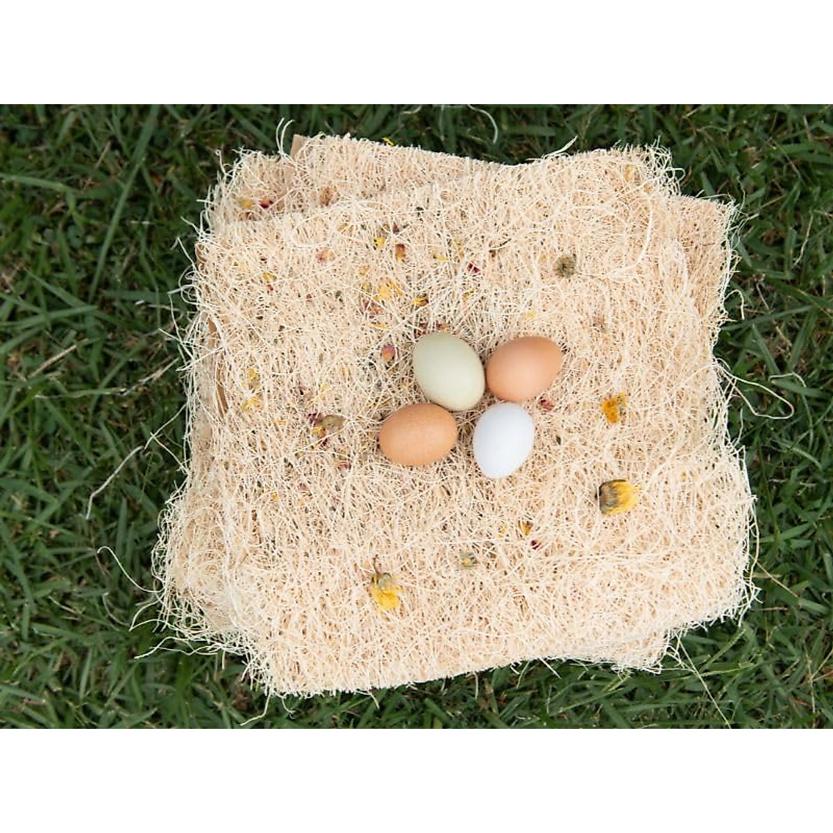 My Favorite Chicken Poultry Nest Box Herbs - Certified Organic Aromatic Nesting Herbs for Hens