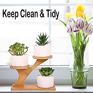 FAHAWEL Tabletop Bamboo Succulent Plant Stand Indoors Desktop Window Sill Plant Shelf 2 Packs, Small Mini Cute 3 Tier Plant Holder for Indoor Plants Table Top Desk Tiered Planter Flower Pot Holder