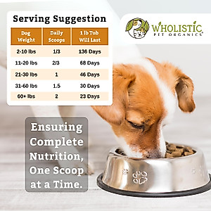 Wholistic Canine Complete with Organic Pumpkin for Dogs - 1 Lb - Dog Vitamins and Supplements with Pumpkin Powder for Digestion, Skin & Coat Health - Multivitamin for Dogs with Probiotics & Fiber