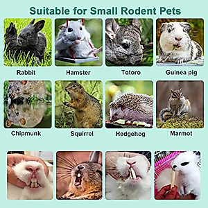 Small Pet 0.66lb Bunny Molar Toys, Sweet Bamboo Sticks Chew Snacks, Natural Snacks Teeth Grinding for Bunnies Chinchillas Hamsters Guinea Pigs and Other Small Pets 300g