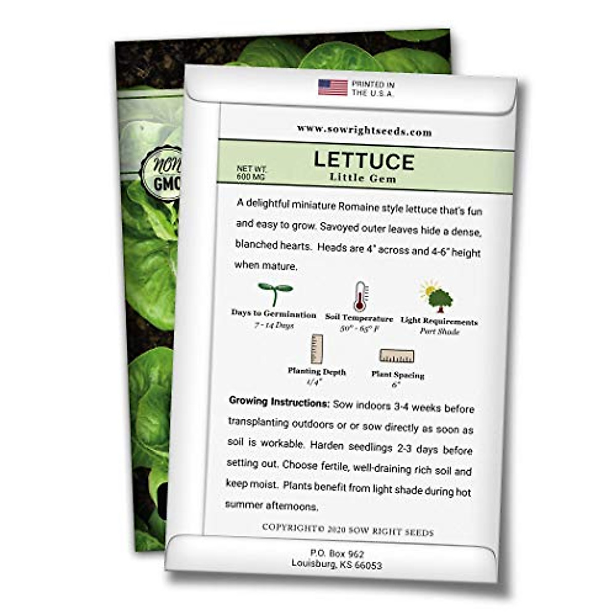 Sow Right Seeds - Large Lettuce Seed Collection for Planting - Buttercrunch, Jericho, Great Lakes, Salad Bowl, Little Gem, Giant Caesar and Lolla Rosa - Non-GMO Heirloom Seeds to Plant a Home Garden