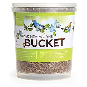 Pacific Bird & Supply Co. Dried Mealworm Bucket, 14.0oz