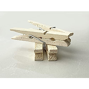 Teal Turtle Wooden Clothespins with Spring for Hanging Laundry, Arts & Crafts, School Projects, Or Bag Clips Set of 20