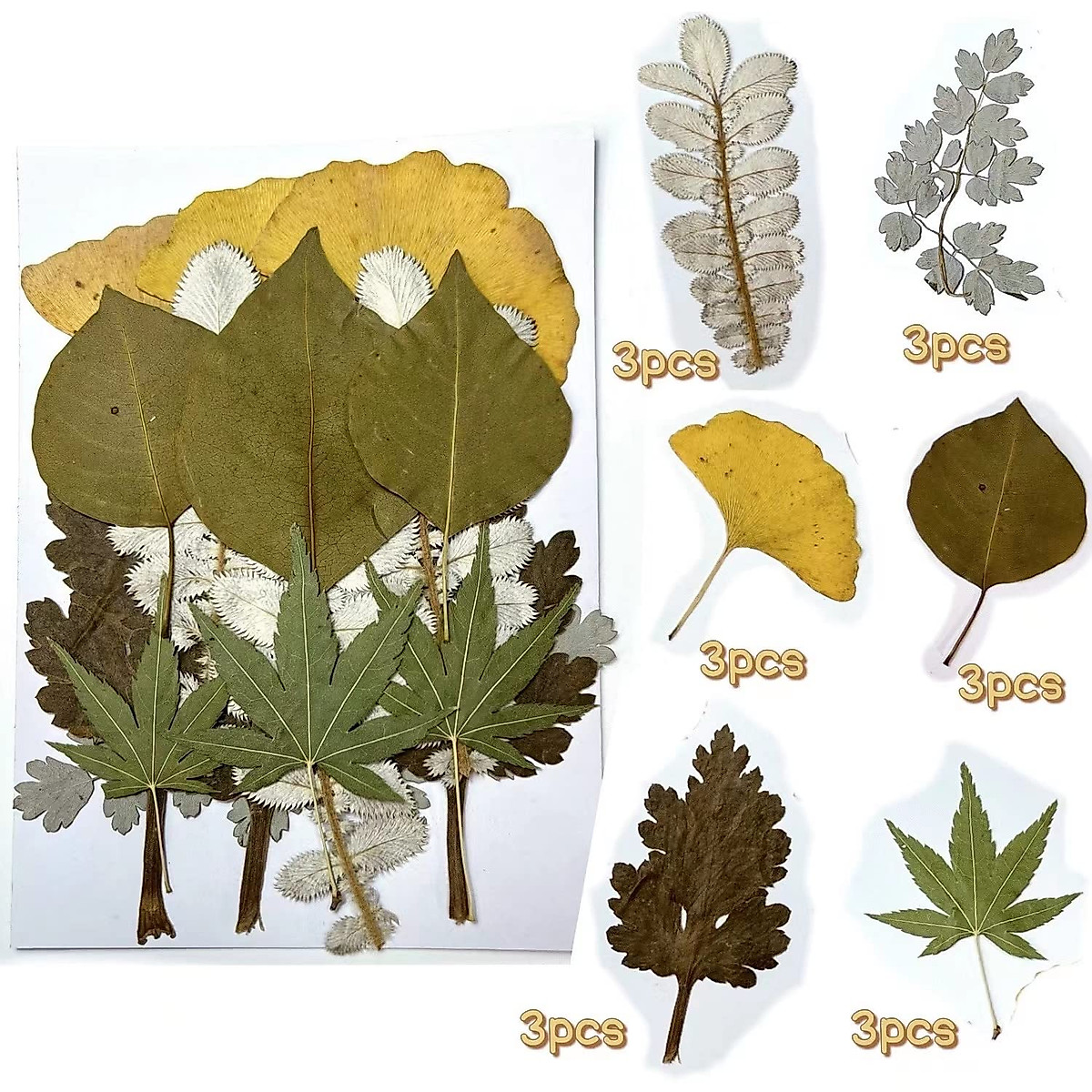 Fbrand 180 Pieces of Real Dry Embossed Flowers with Plant Petals Used for Scrapbook Supplies Card Making Nail Art Picture Frame Decoration soap and Candle