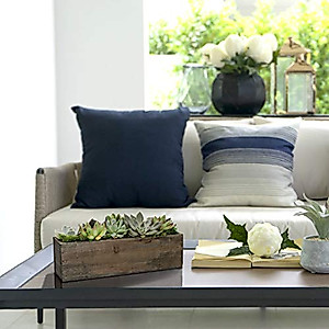 Hallmark Flowers Succulent Garden In 10-Inch Wood Trough