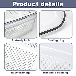 5 Pack Fruit Storage Containers for Fridge,Multi Food Storage Containers Removable Colander Storage Containers with Lid - Suitable for Fruits, Vegetables, Berries, Meat, etc