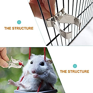 YARNOW Hamster Critters Toys 6pcs Bird Cage Food Holder Clips Stainless Steel Vegetable Fruit Clip Bird Cage Accessories for Birds Parrot Budgie Parakeet Cockatiel Little