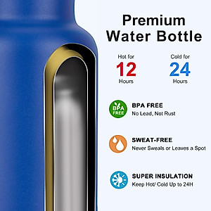 Mollcity Small Water Bottle-12 oz Stainless Steel Vacuum Insulated Water Bottle for Kids-Sports Water Bottle BPA Free for Boys, Girls