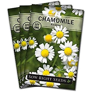 Sow Right Seeds - Roman Chamomile Seeds for Planting - Non-GMO Heirloom Seeds; Instructions to Plant and Grow an Herbal Tea Garden, Indoors or Outdoor; Great Gardening (3)