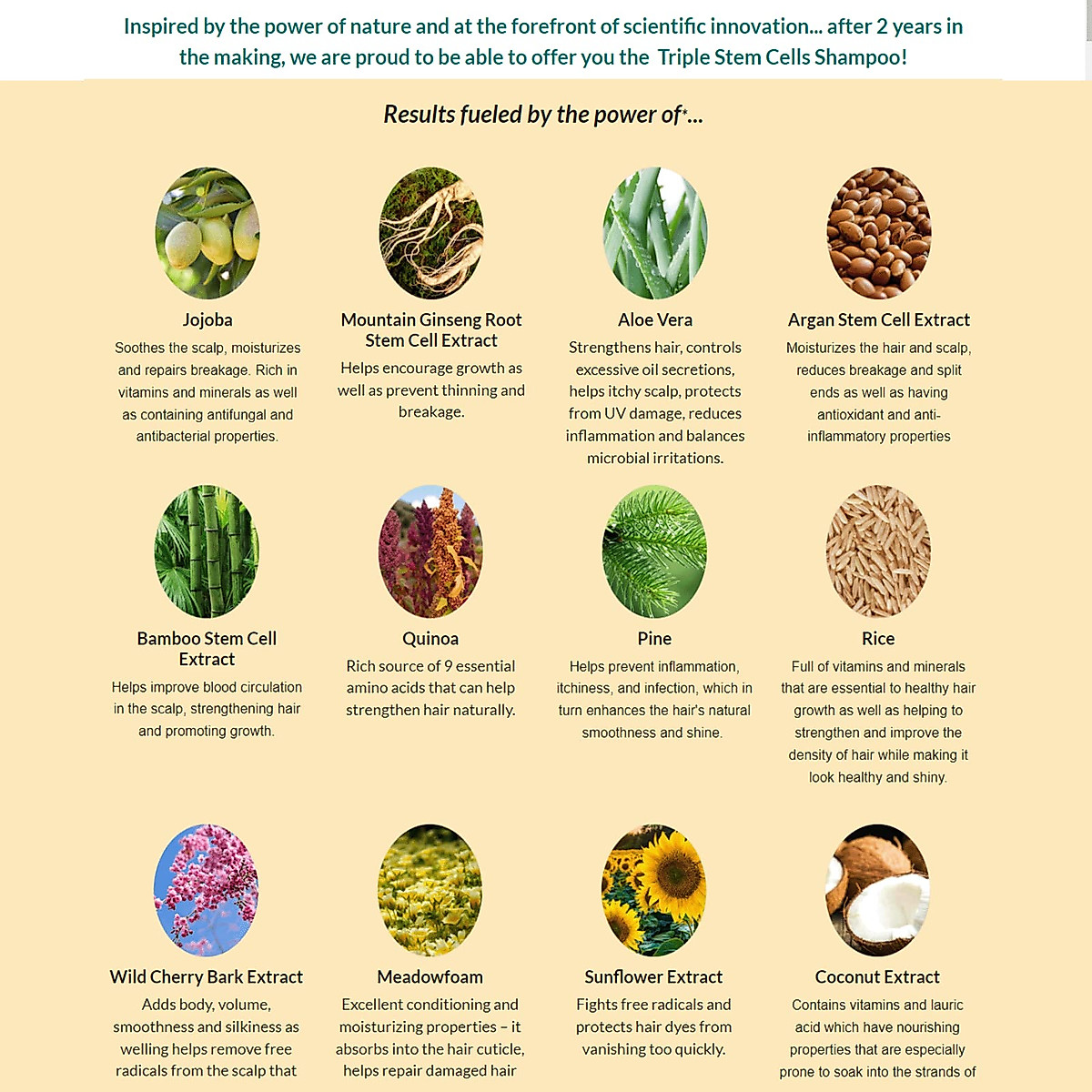 More Hair Naturally TRIPLE STEM CELL SHAMPOO: State Of The Art Hair Improvement For Extra volume, Fullness and Improved Scalp Health