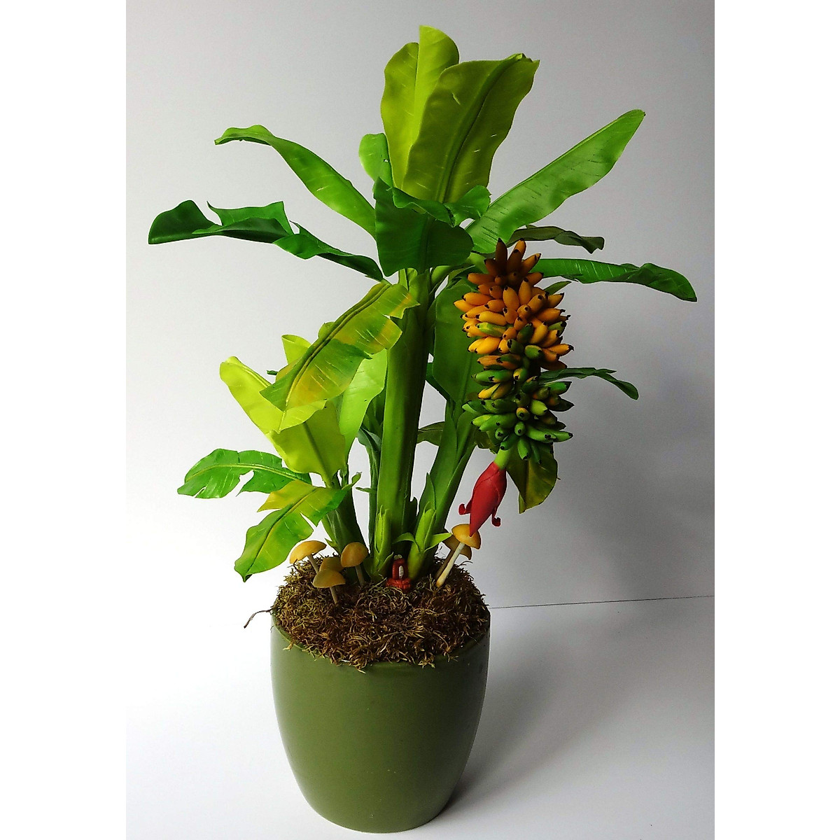Seeds4planting - Seeds Ornamental Banana Exotic Tree Indoor Dwarf Perennial Flowers Non GMO