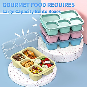 Bento Box Adult Lunch Box - 4 Pack, 5 - Compartment Meal Prep Container for Kids, Reusable Food Storage Snack Containers - Stackable for School, Work, and Travel (PP(Blue/Pink/Green/Yellow))