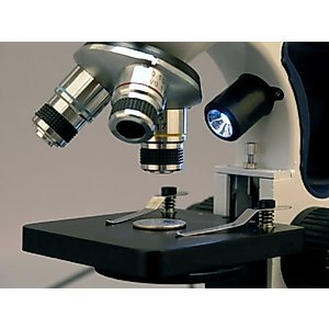 AmScope M158B-2L Cordless Compound Monocular Microscope, WF10x and WF20x Eyepieces, 40x-800x Magnification, Upper and Lower LED Illumination with Rheostat, Brightfield, Single-Lens Condenser, Coaxial Coarse and Fine Focus, Plain Stage, 110V or Battery-Pow