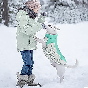 MKubwaa Polar Fleece Dog Jacket, Reflective Dog Cold Weather Coat Vest for Small Medium Dogs, Winter Waterproof Puppy Clothes with Fur Collars, Comfortable Thicken Pet Winter Apparel(Green-S)
