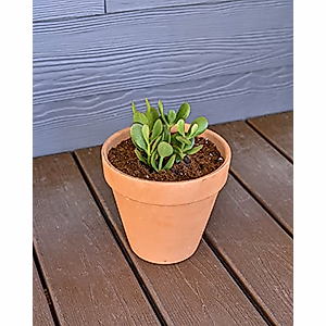 Jade Plant Potting Soil Mix (8 Quarts), Hand Blended Additive for Jade Succulents