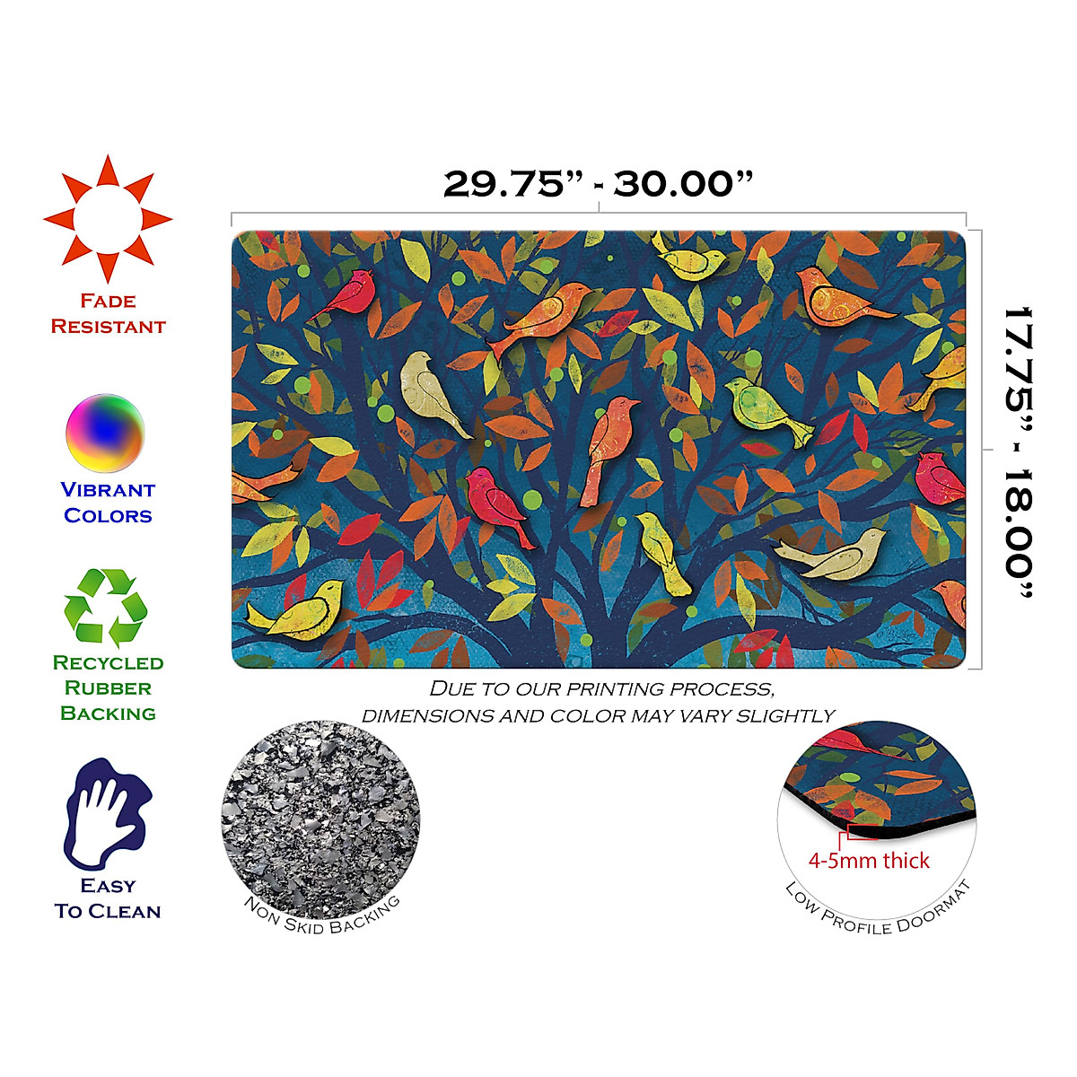 Toland Home Garden 800435 Colorful Birds Bird Door Mat 18x30 Inch Fall Outdoor Doormat for Entryway Indoor Entrance