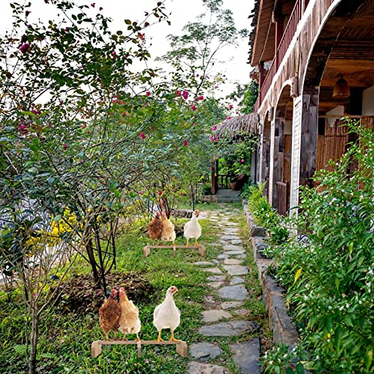 3 pcs Brooder Stand Horse Pet Accessories Chicks Single Toys Hens Swing Chick Standing Wood Pigeon Parrots Training Big Bar， Supplies Perch- Coop and Trainning for Garden