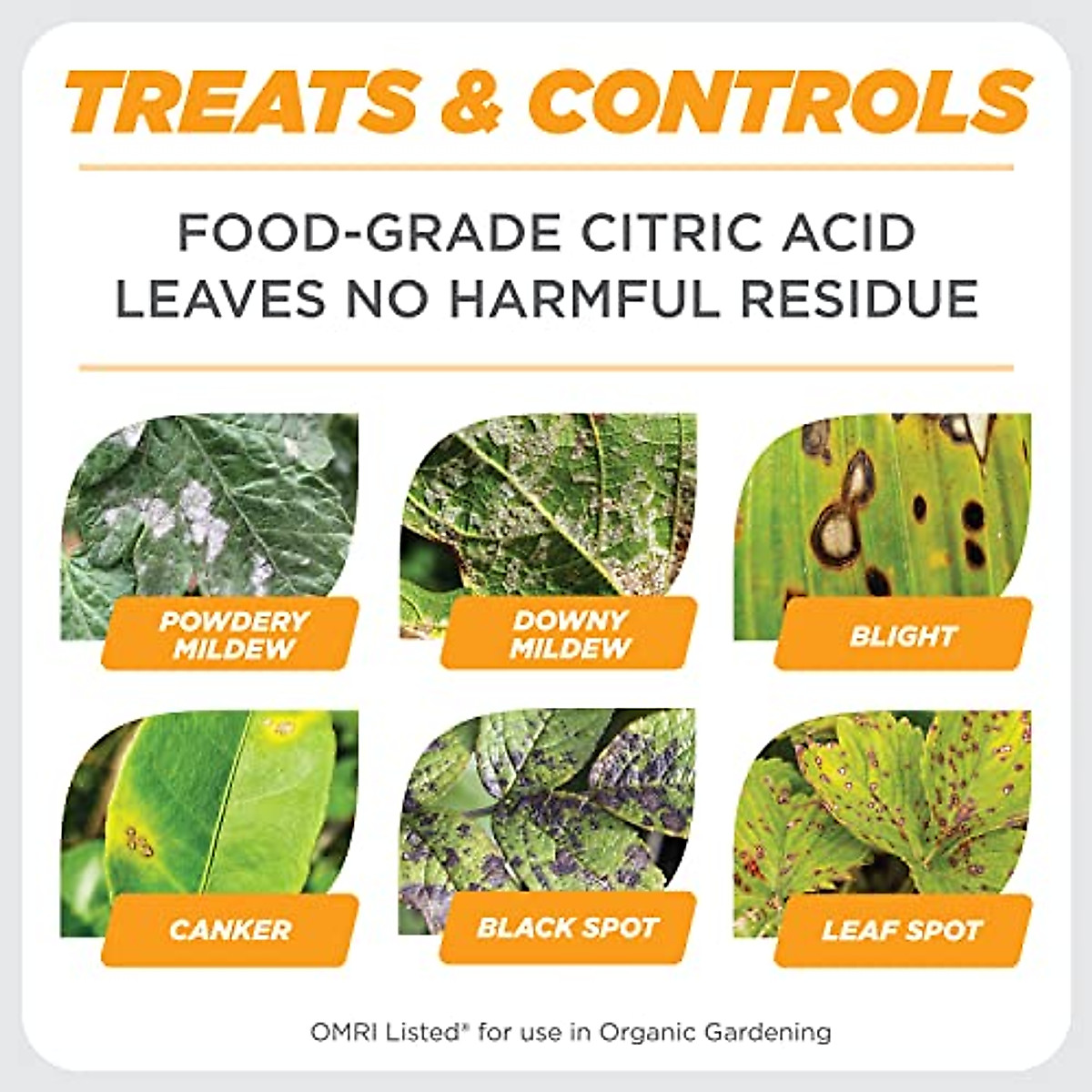 Earth’s Ally Plant Care Bundle – Insecticide and Fungicide Spray