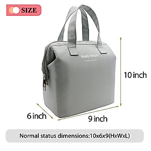 Mziart Insulated Lunch Bag Simple Bento Cooler Bag Lunch Tote Bag for Lunch Box for Women Men Adult Picnic Working Hiking Beach (Grey)