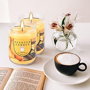 Pack of 2 Orange & Vanilla Odor Elimination Scented Candles Gift Set for Women, Soy Wax Aromatherapy Candles for Home