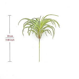 ZKTECH 4 Pack Artificial Succulent Plants Flocked Air Plants Grass Faux Flocking Tillandsia Air Plants Bromeliads for Home Garden Decor Terrarium Project Fake Artificial Plants Arrangement