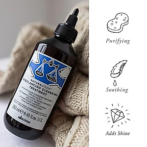 Davines Naturaltech REBALANCING Cleansing Treatment, Effectively Counteract Greasy Scalp And Heavy Hair, 8.45 Fl Oz