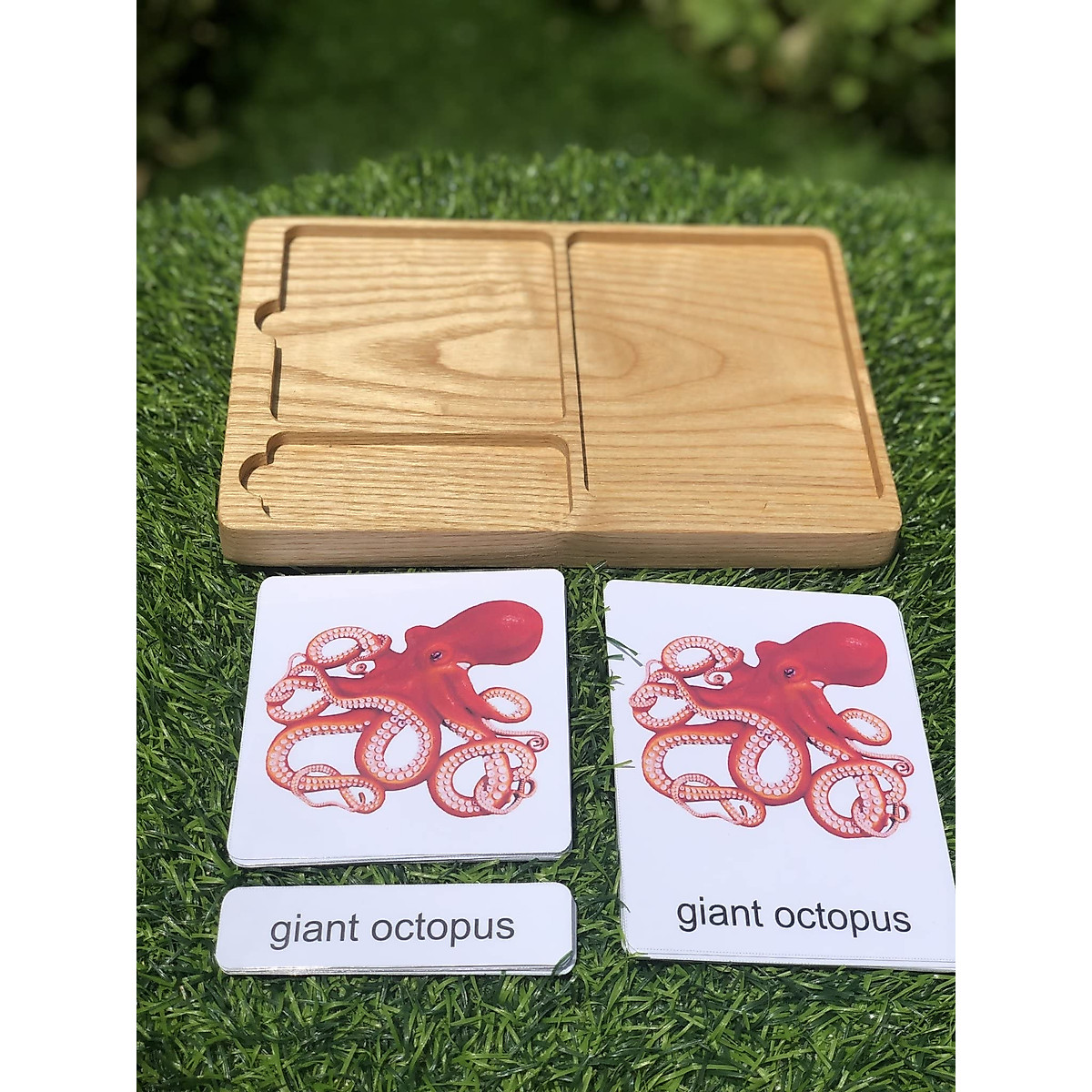 KIHACO Display Tray for Three Part Card Montessori