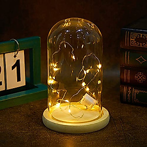 4 Pcs Clear Glass Dome Cloche with Wood Base and LED Fairy Light Set, Battery Operated Glass Cloche Glass Dome with Base Tabletop Bell Jar Display Case for Home Office Wedding Centerpiece Rose Flower