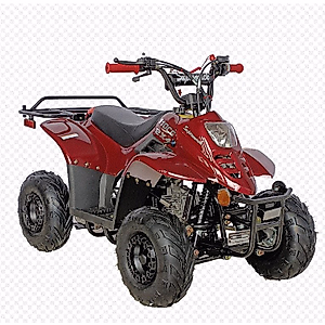 Motor HQ 110cc ATV Fully Automatic Four Wheelers 4 Stroke Engine 6" Tires Quads for Kids Blue Spider
