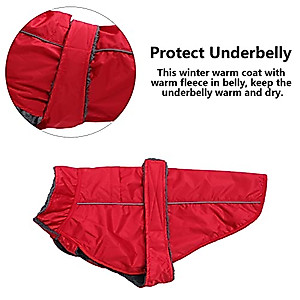 Dachshund Coat Waterproof, Perfect for Dachshund Sausage, Puppy Winter Jacket with Padded Fleece Lining, Outdoor Dog Clothing with Adjustable Bands and Underbelly Protection - Red - XS