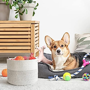 INDRESSME Small Rope Basket Round Woven Storage Basket Cute Dog Toy Basket Cotton Basket Baby Nursery Hamper Shelf Decorative Bin for Keys Gift 9.4 x 9.4 x 7.1 inches