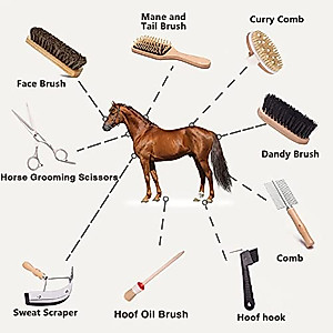 Horse Grooming Kit （10-Piece） with Tote，Horse Cleaning Tool Set with Assorted Hair and Curry Comb, Hoof Pick Sweat Scraper，Grooming Scissors，Portable Black Storage Bag，Riding Equipment for Beginners